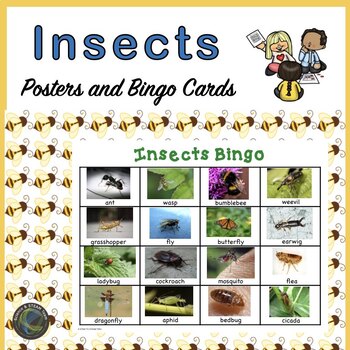 Animal Classification Insects Bingo, Posters, and More | TeachShare