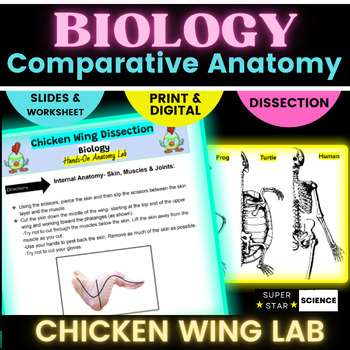 Chicken Wing Dissection Biology Slides & Anatomy Lab FUN Hands On ...