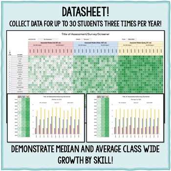 Decodable Words Editable Benchmark 3 Assessment in Google Sheets ...