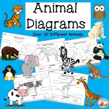 Animal Diagrams, Pets, Farm , Forest, Arctic, Grassland & Zoo Animals ...