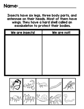 Science- Parts of an Insect- Insect Sorting Activity | TeachShare