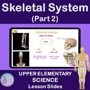 Skeletal System part 2 | PowerPoint Lesson Slides Upper Elementary ...