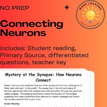 How Neurons Connect: Synapse Anatomy Psychology Reading Comprehension ...