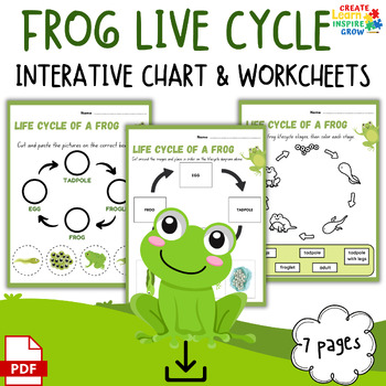 Life Cycle of a Frog Activity & Worksheet - Frogs & Pond Unit Spring ...