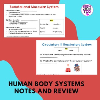 Human Body Systems Unit Bundle - Adapted Notes and Review | TeachShare