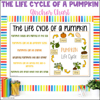 The Life Cycle of a Pumpkin Science Anchor Chart Poster | TeachShare