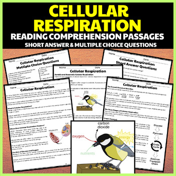 Cellular Respiration Reading Comprehension Passages with Questions ...