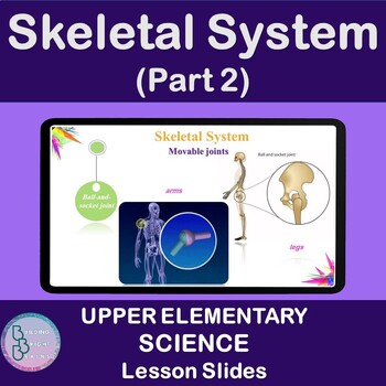 Skeletal System part 2 | PowerPoint Lesson Slides Upper Elementary ...