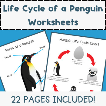 Life Cycle of a Penguin Packet | Worksheets & Activities | TeachShare