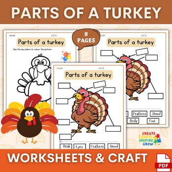Parts of a Turkey worksheet & craft label the turkey K - 1st grade ...