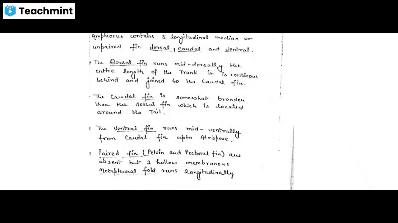 Lecture 2021-07-18 - Bsc :-Zoology Botany - Class Recording - Teachmint