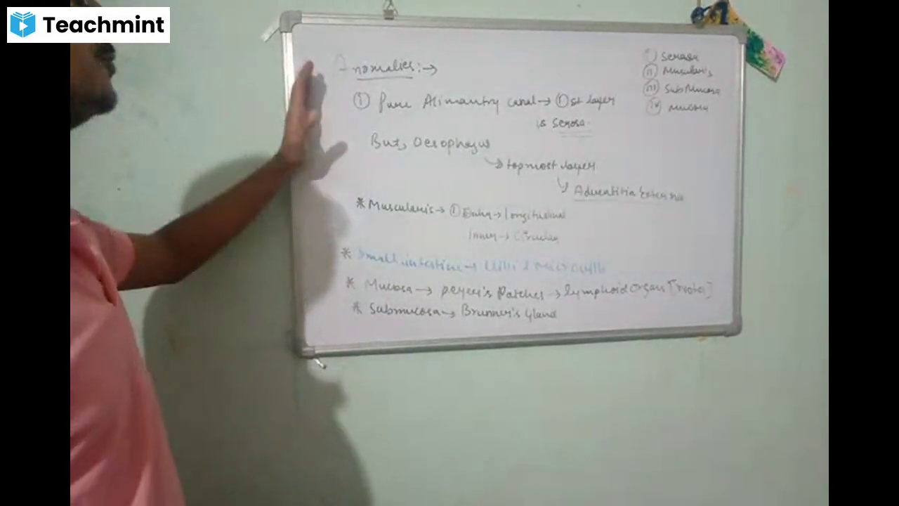 digestive system( demo lecture ) - Biology - Class Recording - Teachmint