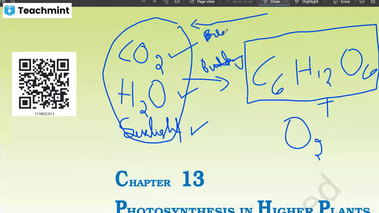 Photosynthesis lec 1 - Botany - Class Recording - Teachmint
