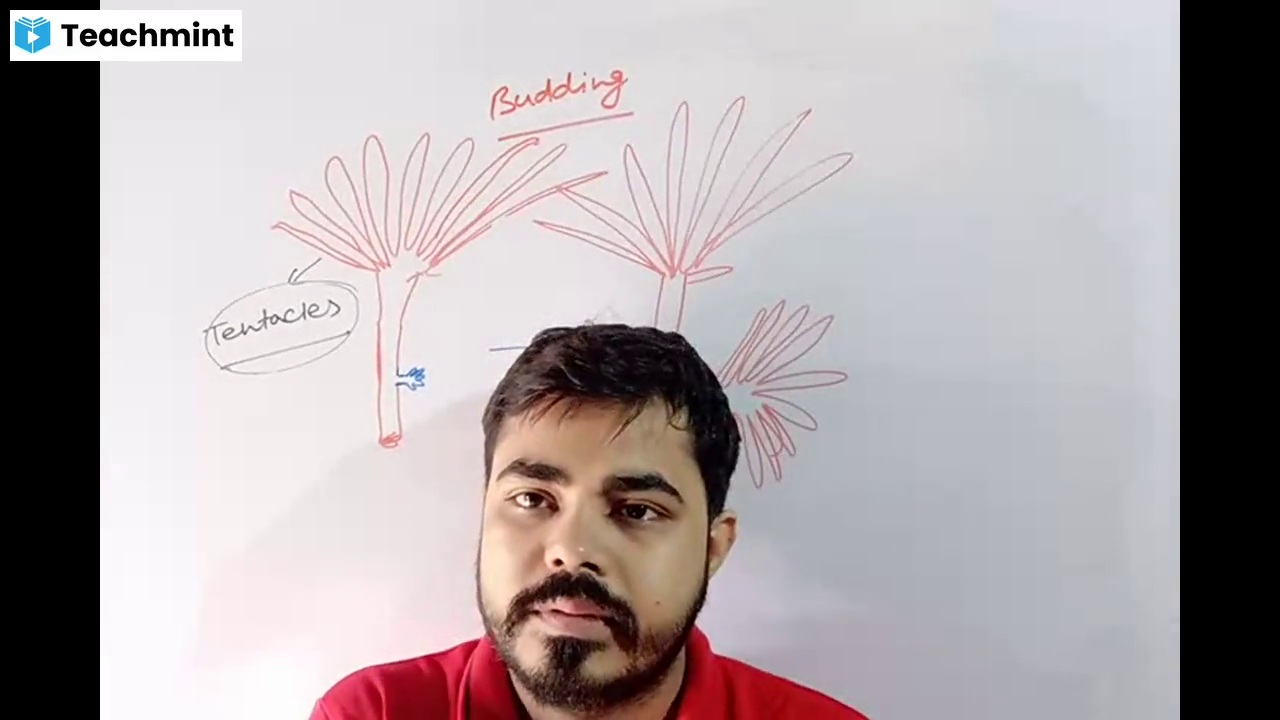 Lecture 2021 07 12 Science Class Recording Teachmint 2020