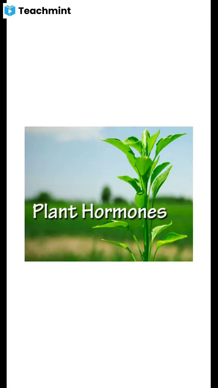 Plant Physiology - BOTANY - Notes - Teachmint