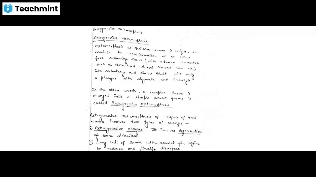 L#:-4 Retrogressive Metamorphosis In Herdmania - Bsc :-Zoology Botany ...