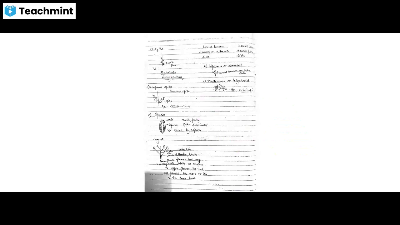 None - Bsc :-Zoology Botany - Class Recording - Teachmint