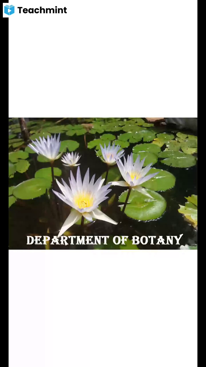 Lecture 2021-08-04 - Botany - Class Recording - Teachmint