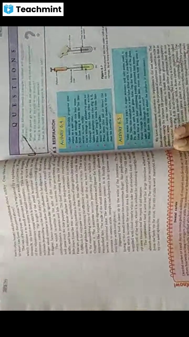 class 10th science chapter 6 th 3 rd lecture - Science - Class ...