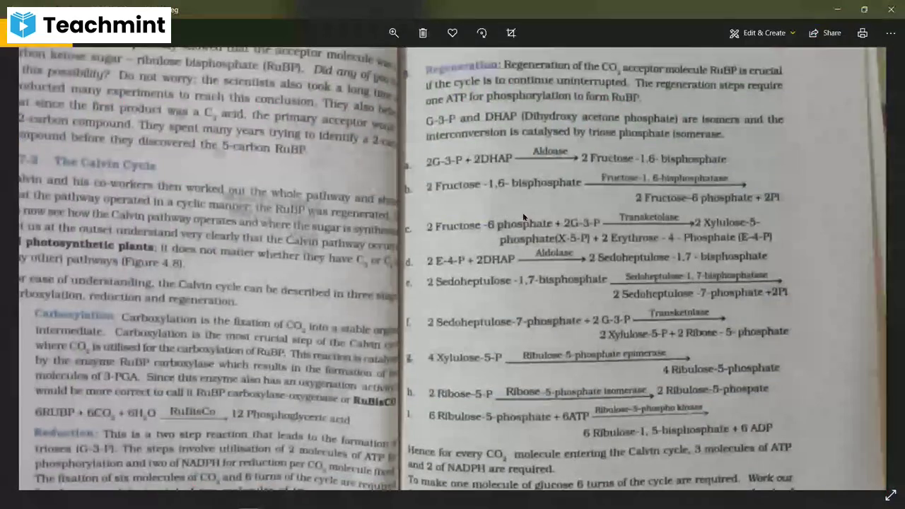 Photosynthesis Lec 5 - Botany - Class Recording - Teachmint