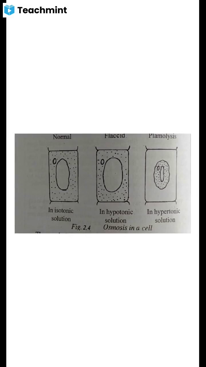 Plant Physiology 2021-07-08 - BOTANY - Class Recording - Teachmint