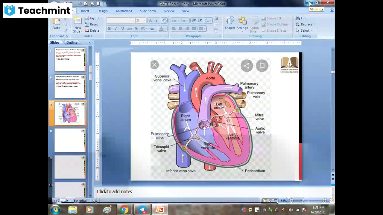 Blood Circulation - Science - Class Recording - Teachmint