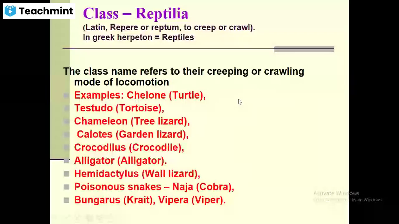 Reptilia GC - Zoology - Class Recording - Teachmint