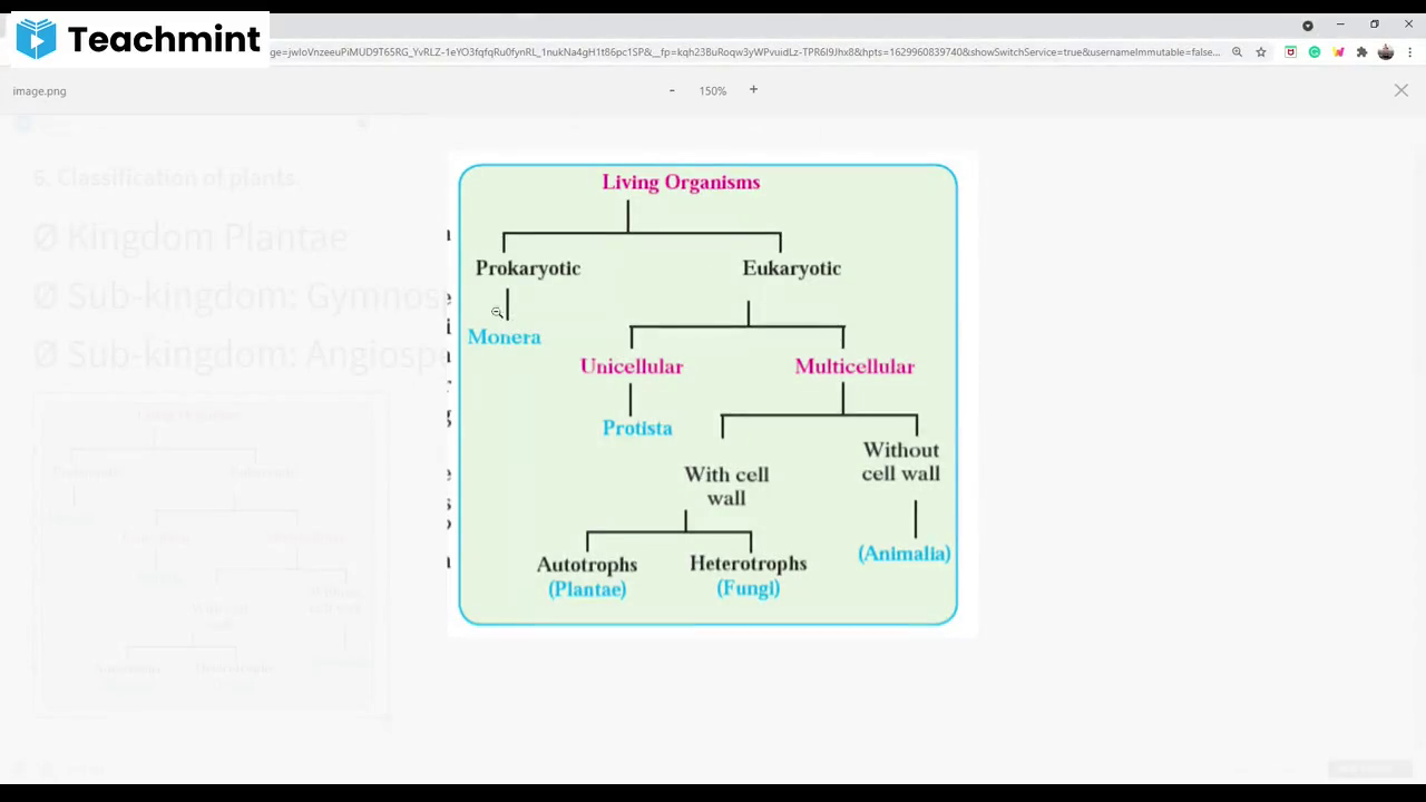 None - Science (SEMI) - Class Recording - Teachmint