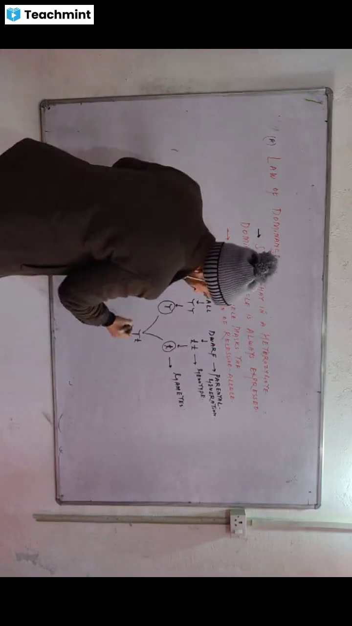 Lecture 2022-01-17 - Zoology - Class Recording - Teachmint