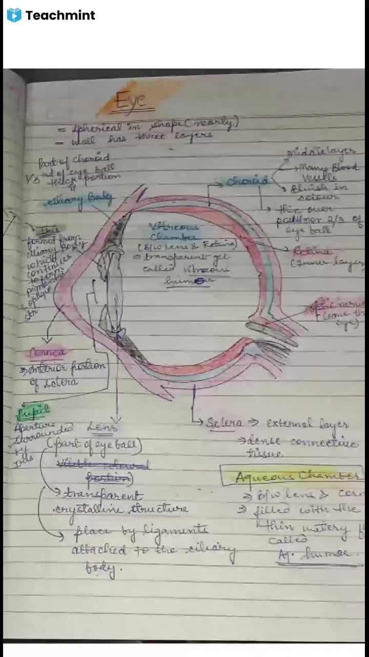 excretion.pdf - Biology - Notes - Teachmint
