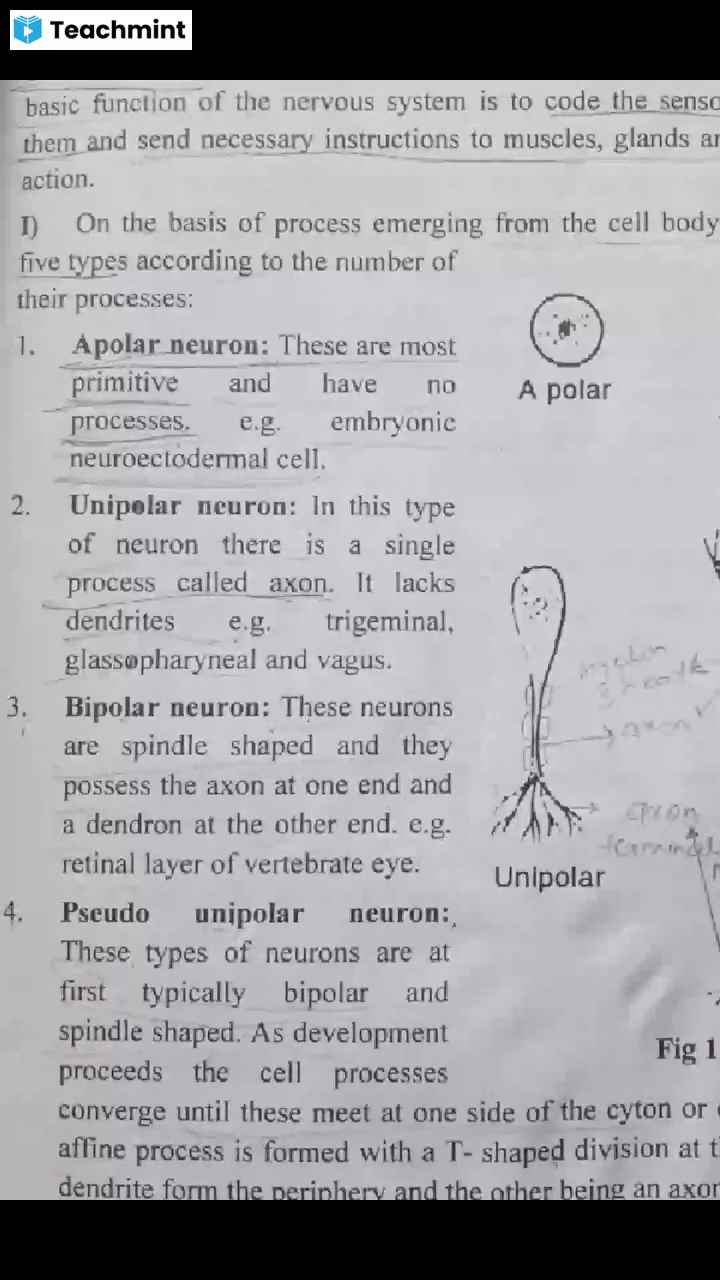 BSc_Zoology_revised_syllabus_080920.pdf - Zoology - Notes - Teachmint