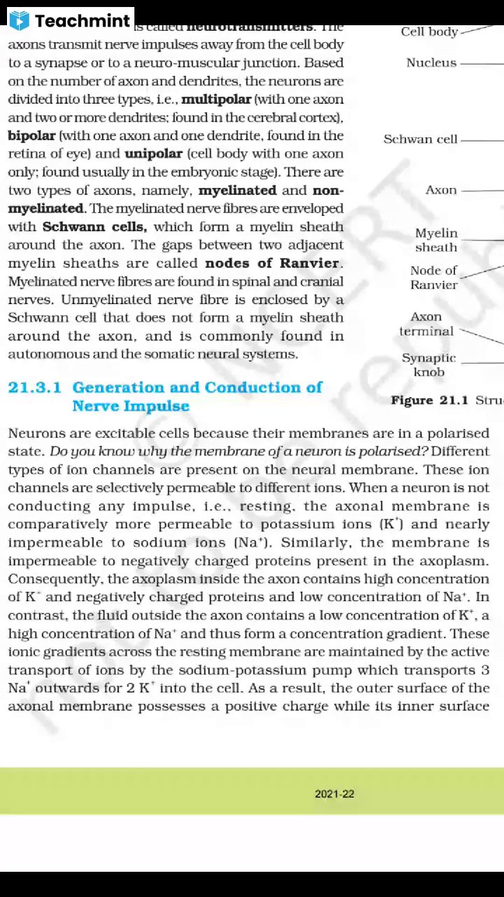 excretion.pdf - Biology - Notes - Teachmint