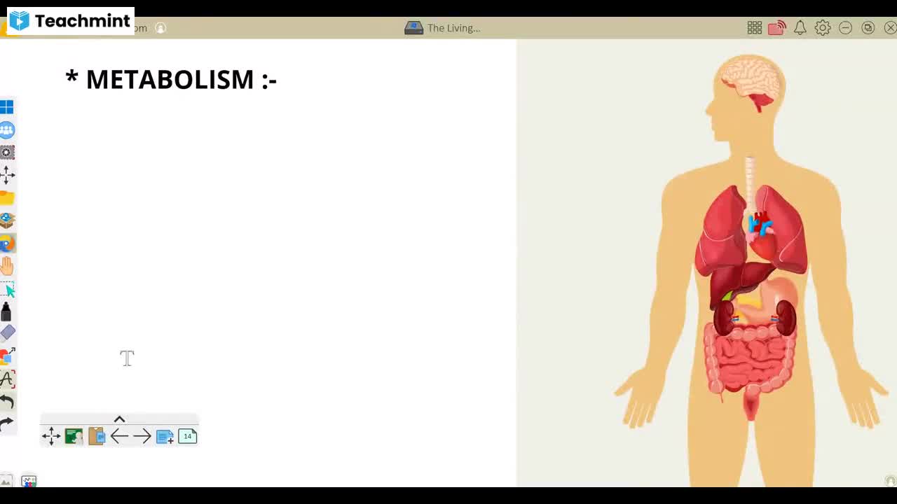 Lecture 2023-04-10 - PHY CHEM MATH BIO - Class Recording - Teachmint