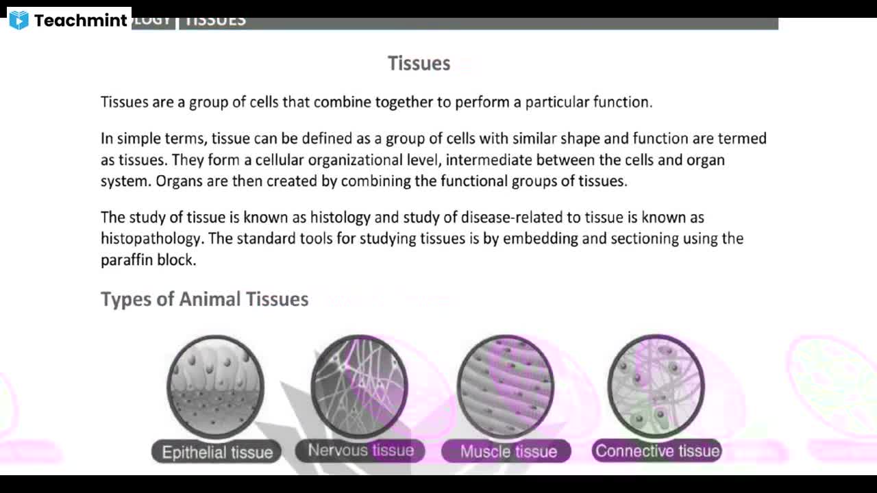 Lecture 2023-06-15 - General Knowledge - Class Recording - Teachmint