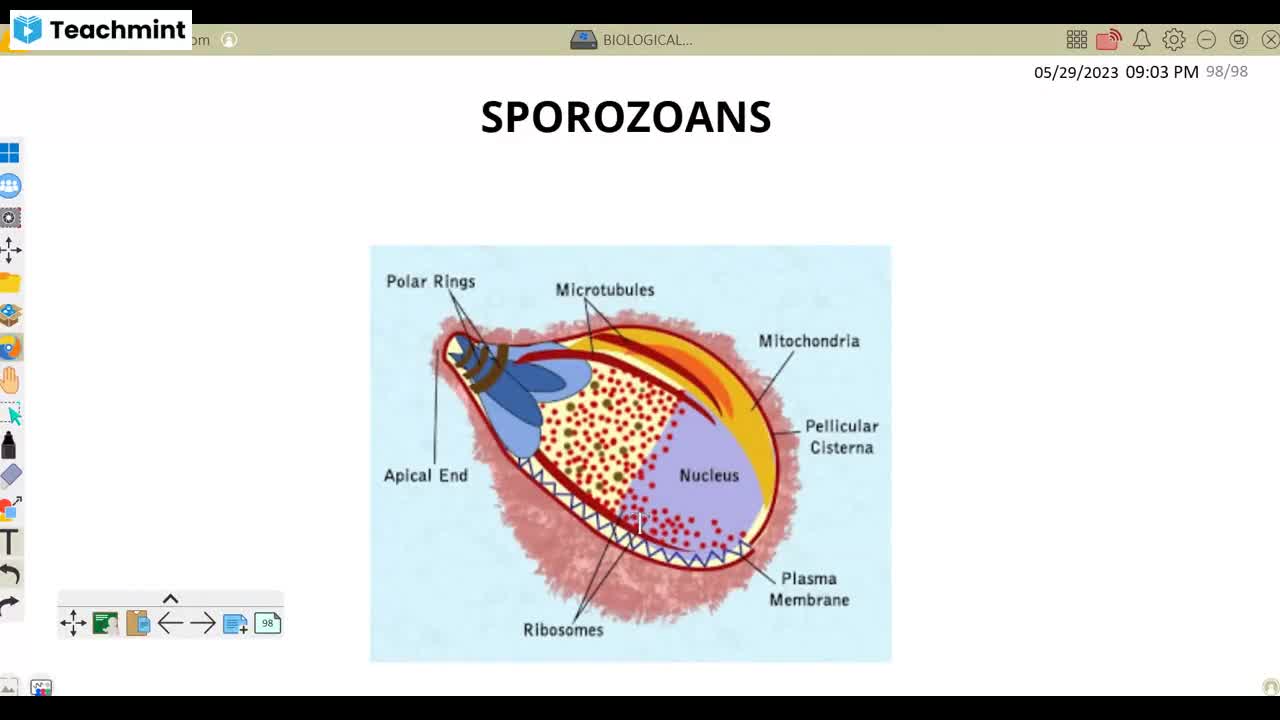 Lecture 2023-05-29 - PHY CHEM MATH BIO - Class Recording - Teachmint