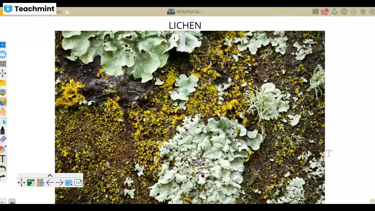 Lecture 2023-05-30 - PHY CHEM MATH BIO - Class Recording - Teachmint