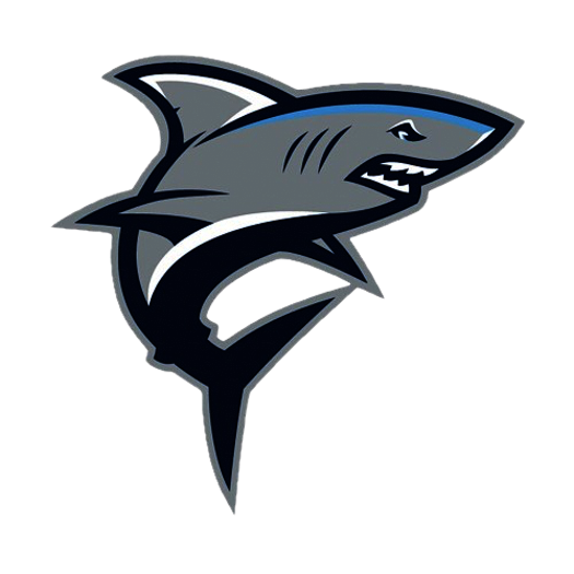 Newest Custom Teams | TeamCrafters