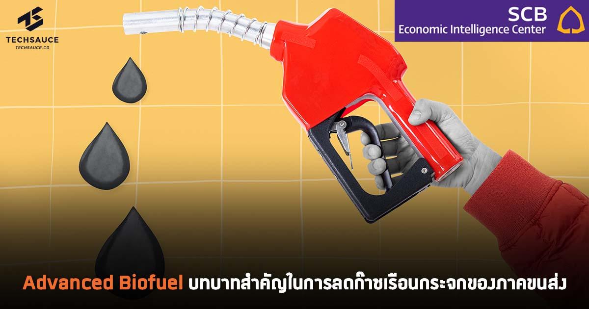 Advanced Biofuel บทบาทสำคัญในการลดก๊าซเรือนกระจกของภาคขนส่ง โดย SCB EIC ...