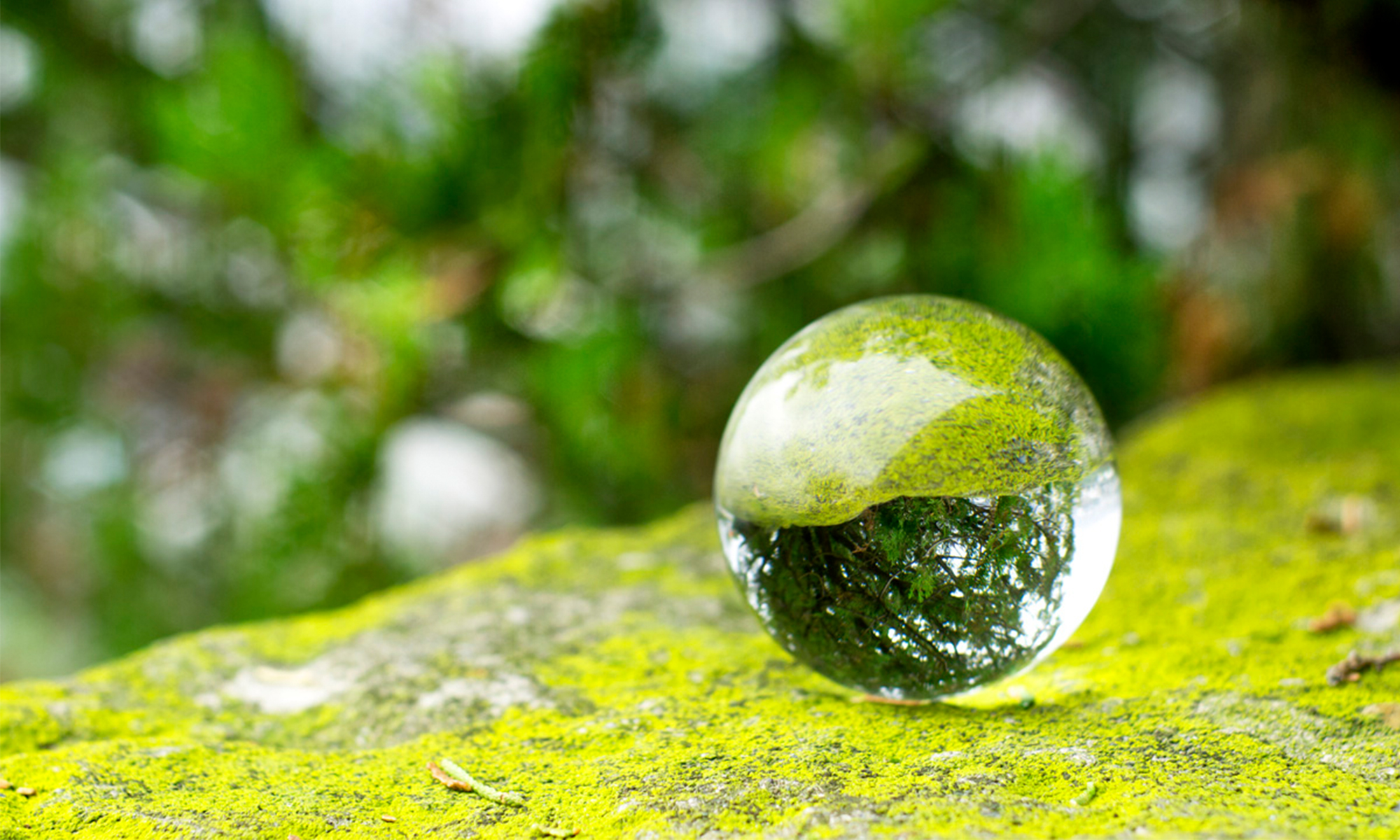 Startprogram: Klimat- och hållbarhetsomställning | Techtank