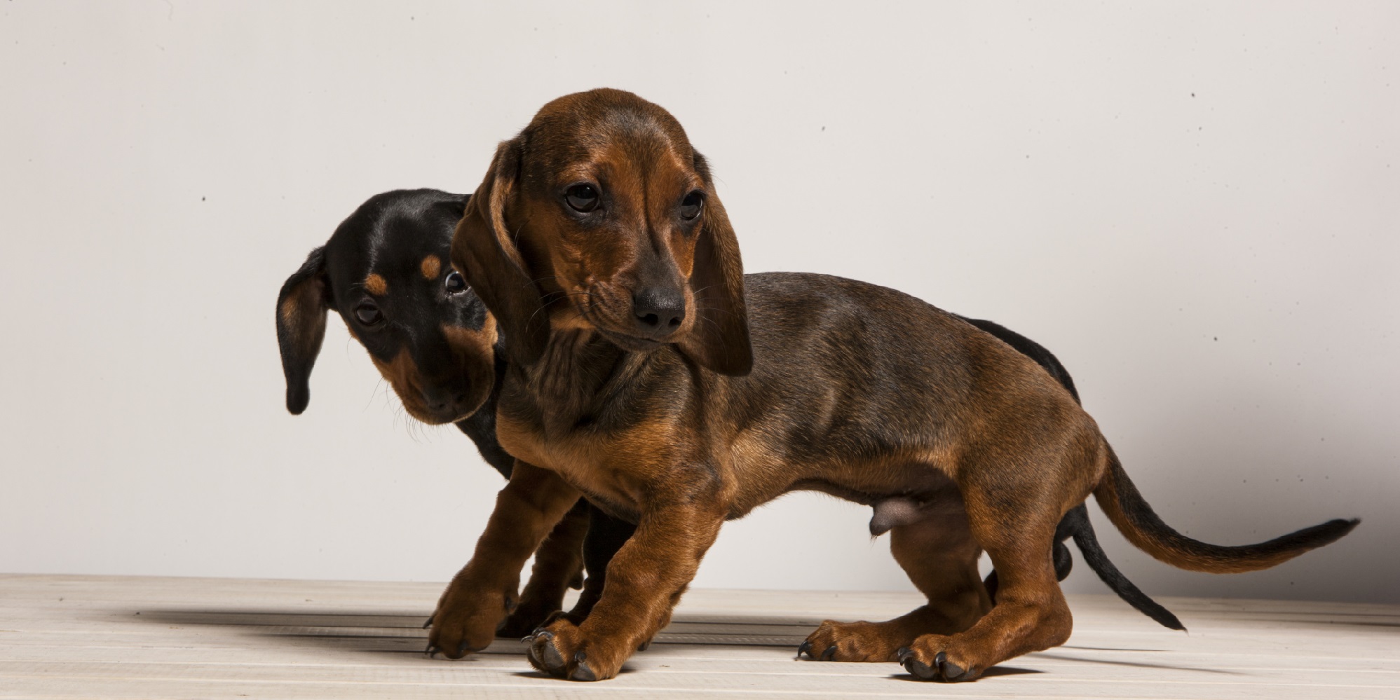 Chief encounters: James Jopling - TFN