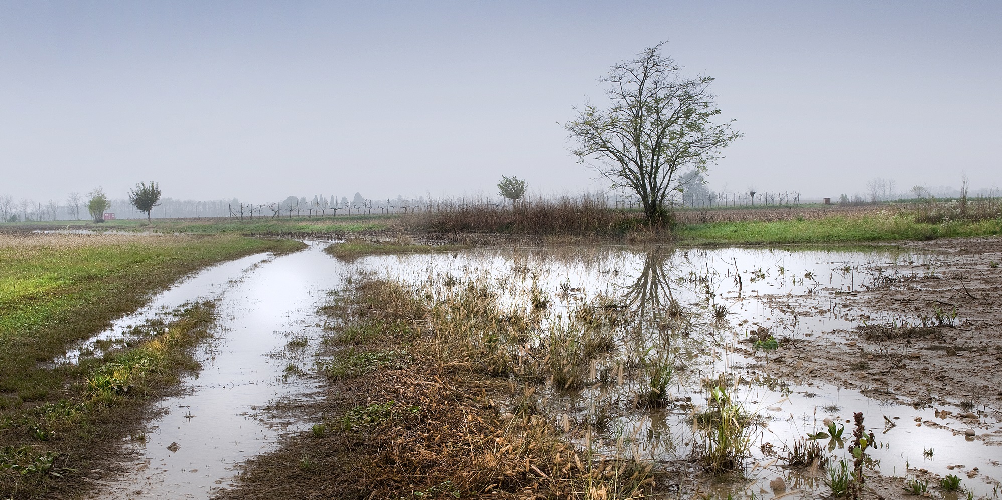 Communities should be able to own their own land - TFN