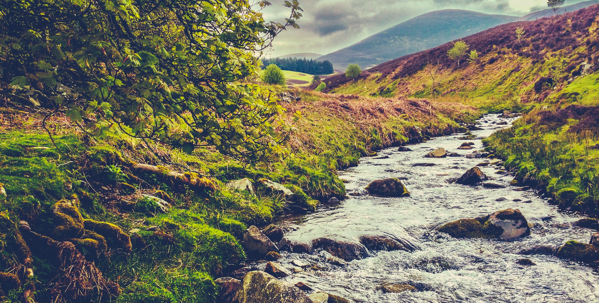 People power wins huge victory in fight for nature protection - TFN