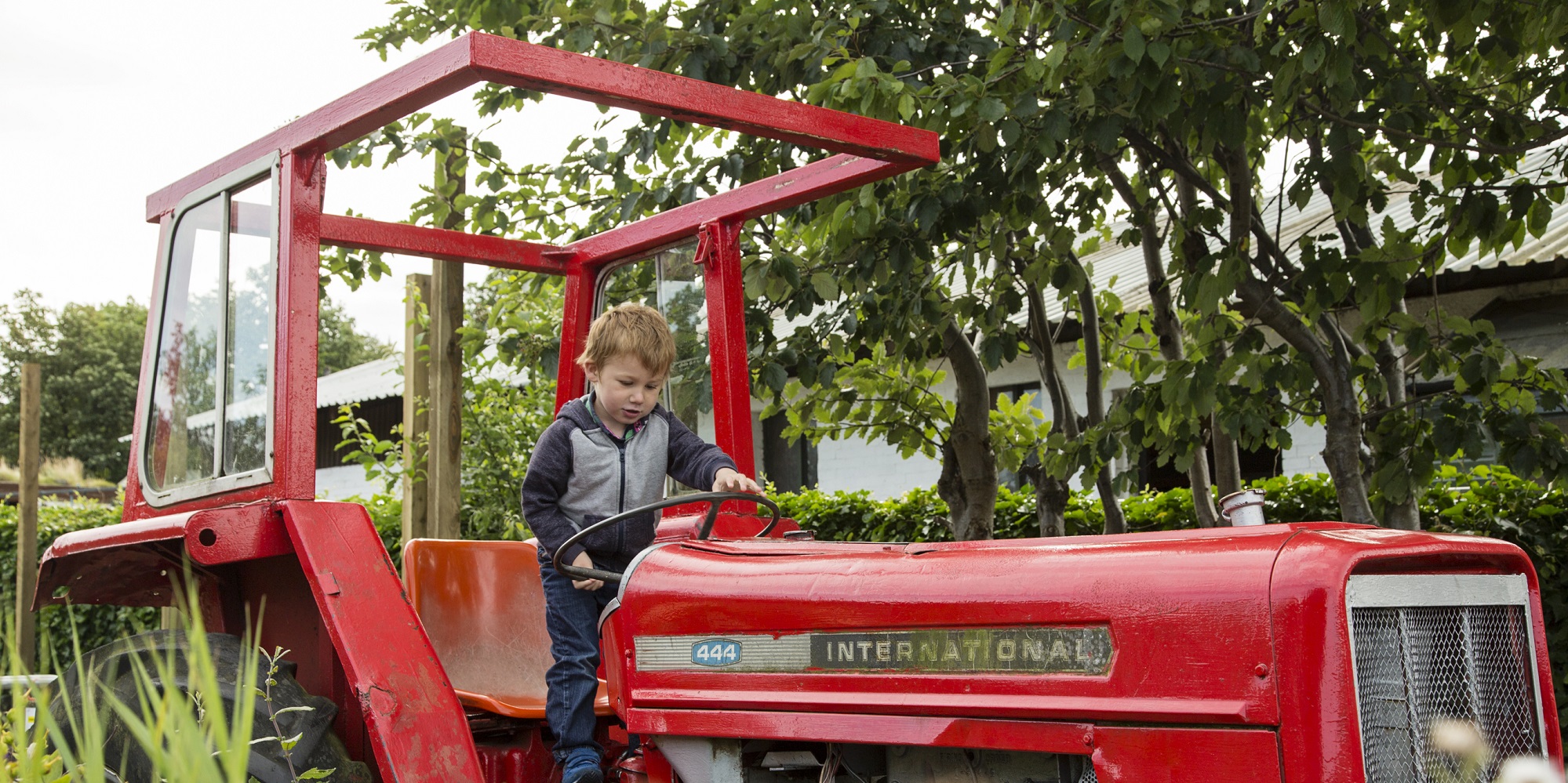 Gorgie City Farm: a phoenix from the ashes - TFN