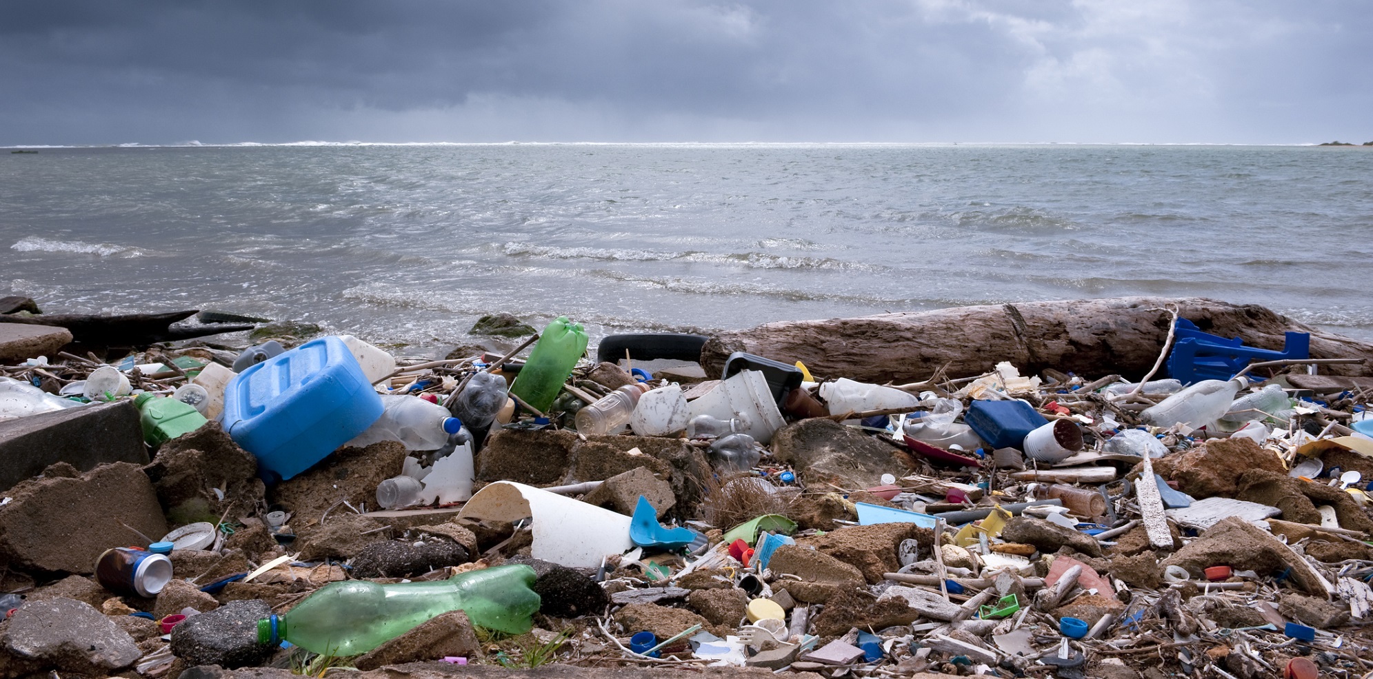 Charities show the extent of plastic pollution blighting our coasts - TFN
