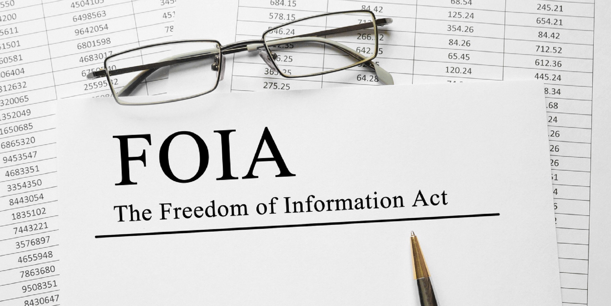 Campaigners call for FOI reform - TFN