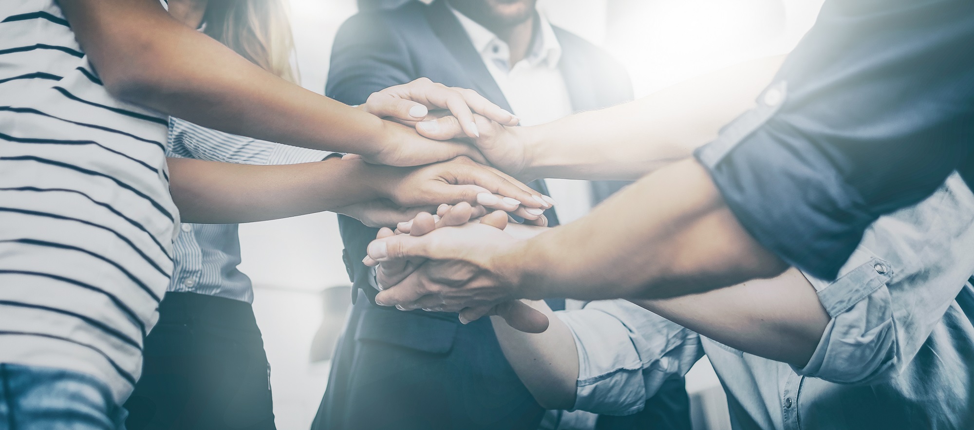 Charity members: help or hindrance? - TFN
