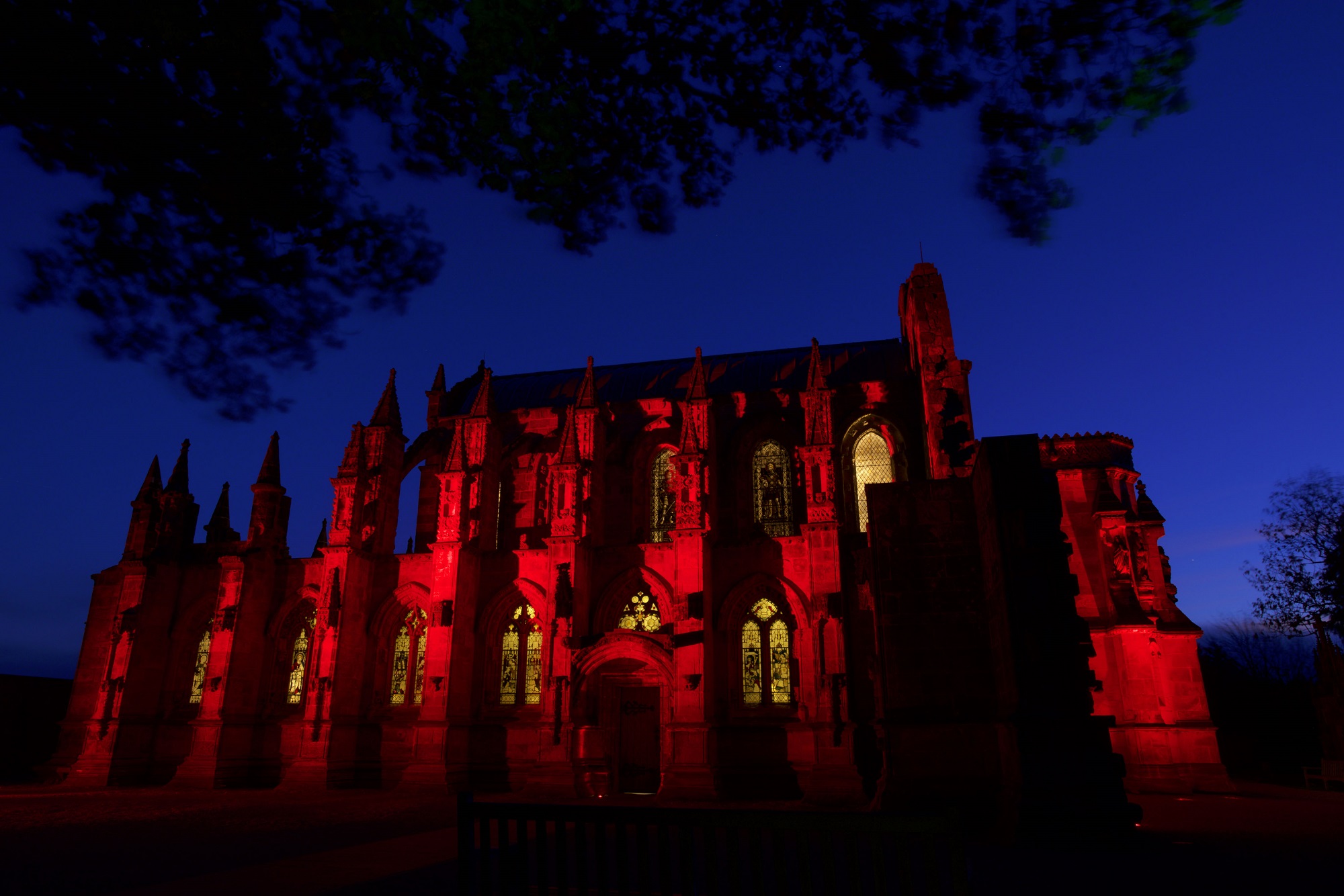 Light Scotland up red for Poppy Appeal - TFN