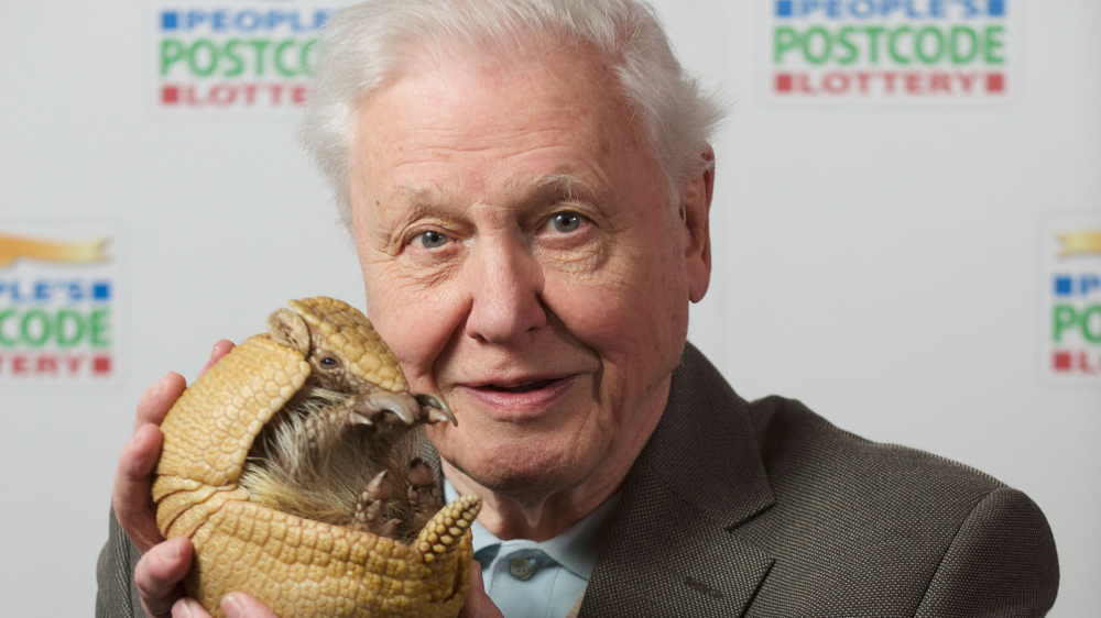 Celebrities thank People’s Postcode Lottery as £500m milestone reached ...