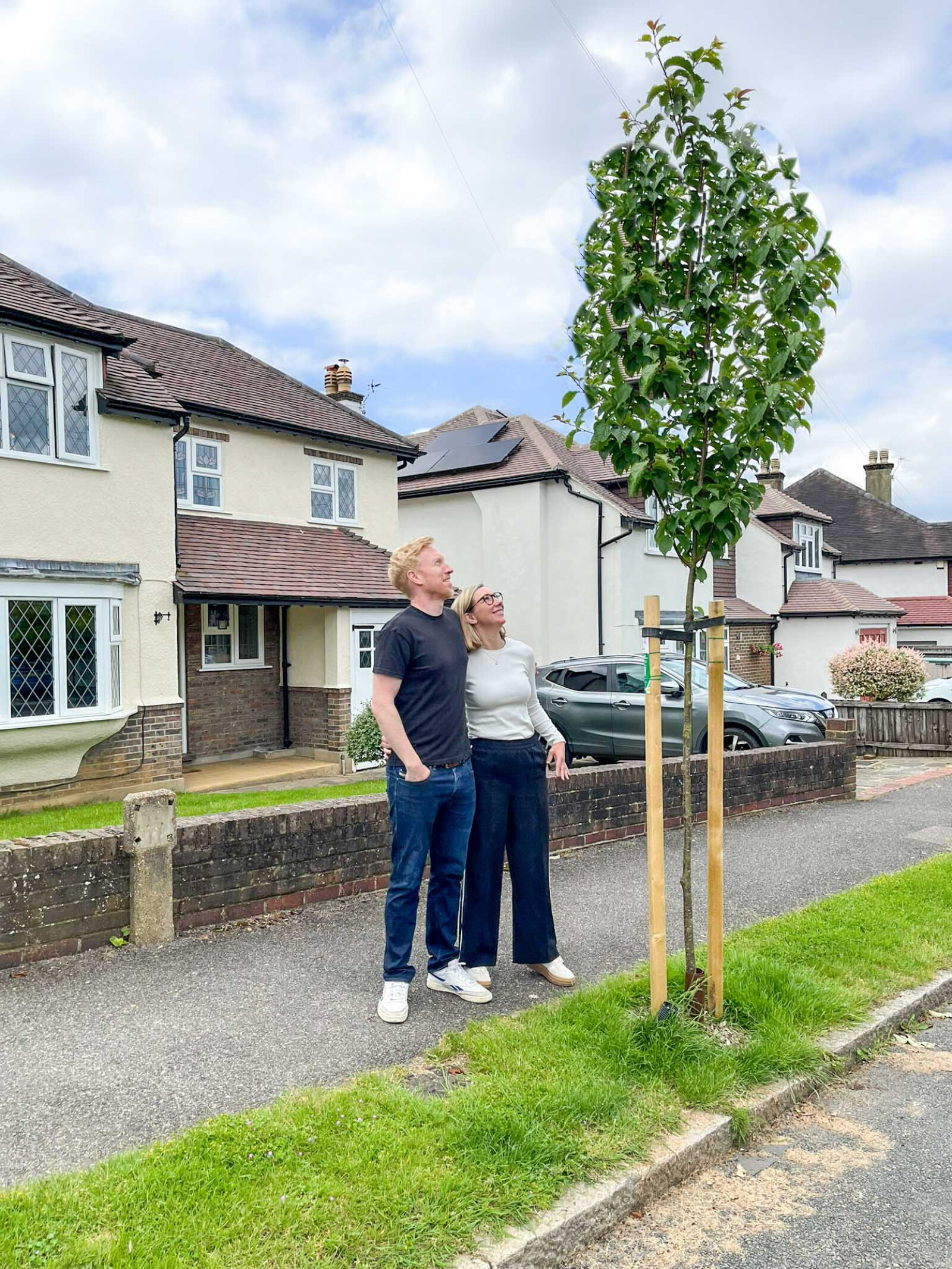 Let's fill Croydon with trees - Trees for Streets