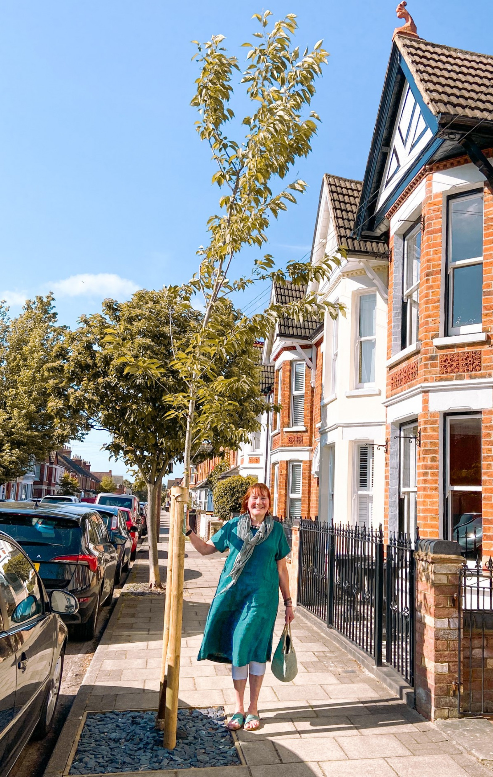 Let's plant more trees in Bedford - Trees for Streets